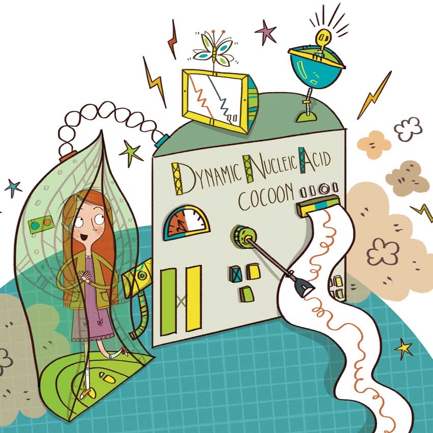 Springboard Stories - Codes topic